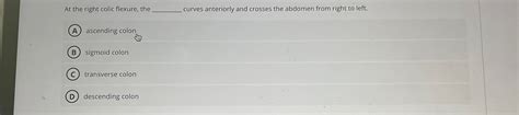 Solved At The Right Colic Flexure The ﻿curves Anteriorly