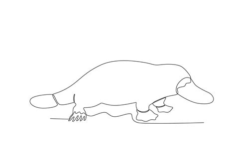 Single One Line Drawing Of A Platypus Continuous Line Draw Design Graphic Vector Illustration