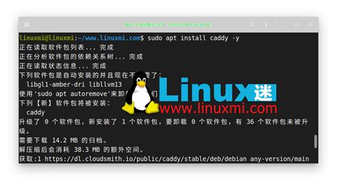 如何在 Ubuntu Server 22 04 上安装 Caddy Web 服务器 Linux迷
