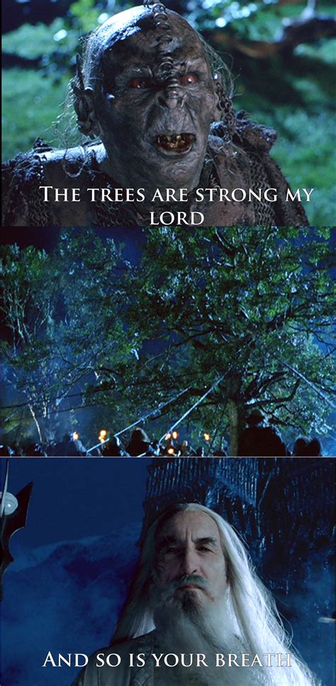 Funny Quotes Lord Of The Rings Funnytesnia Quotes