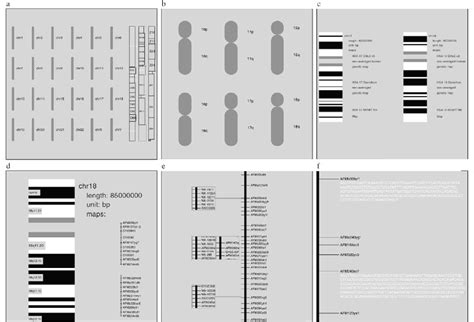 Figure 1 From The Hugemap Database Interconnection And Visualization