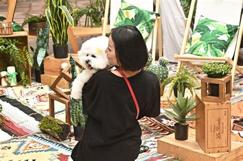 慈愛動物醫院 最新資訊 【混東區生活節慈愛獸醫健檢。守毛孩健康】