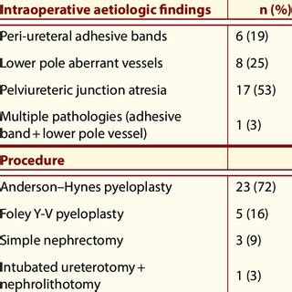 Intraoperative Findings And Procedures Performed Download Table