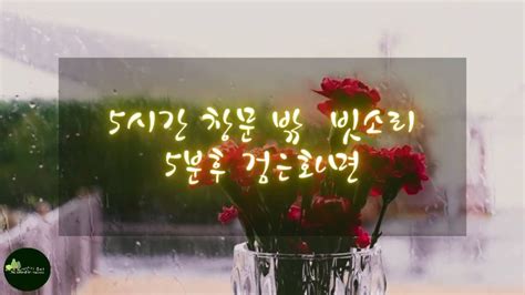 창문을 두드리는 5시간 빗소리🌧️5분후 검은화면 Youtube
