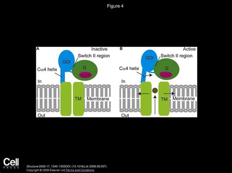 Volume 17 Issue 10 Pages October 2009 Ppt Download