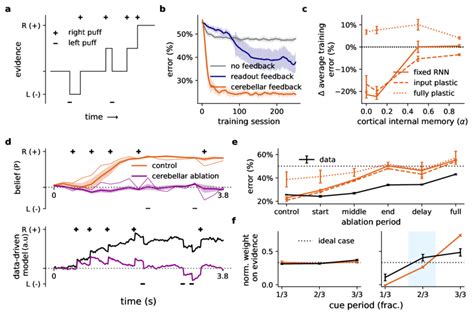 Cortico Cerebellar Model Mimics Mouse Behaviour During Evidence