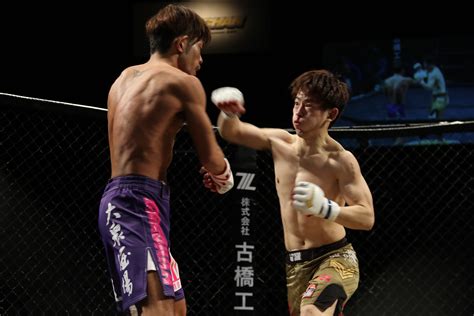 무료 이미지 일본 근육 새장 반바지 사격 스트라이크 발 차기 장갑 펀치 혼합 무술 Mma 그래 찬 슈팅