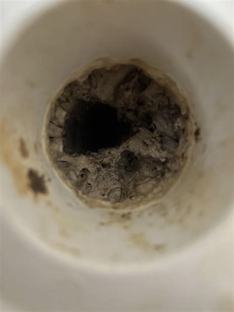 What Is In My Drain And I Do Get Rid Of It Rplumbing