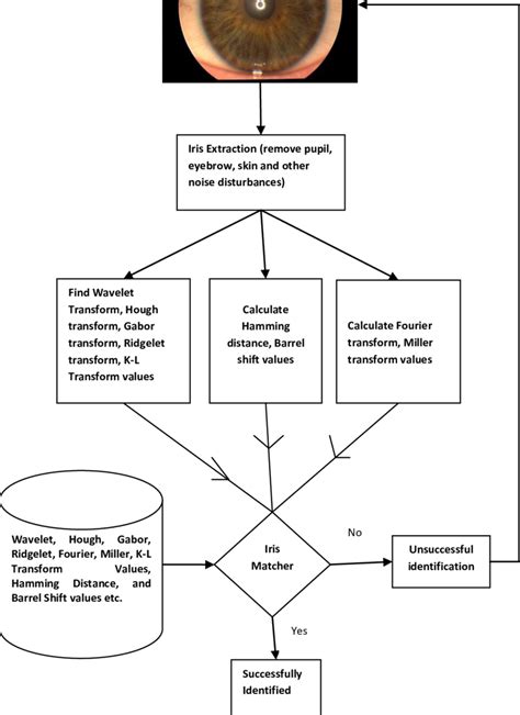 Iris Based Identification Methods Download Scientific Diagram
