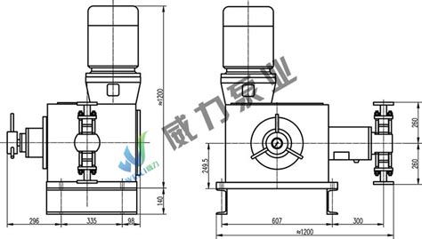 JT柱塞式计量泵 淮安市威力泵业科技有限公司