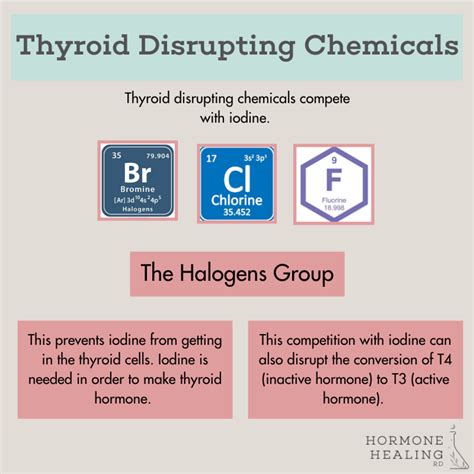 Thyroid Health Part 2 Stress Cycles And The Pill Hormone Healing Rd