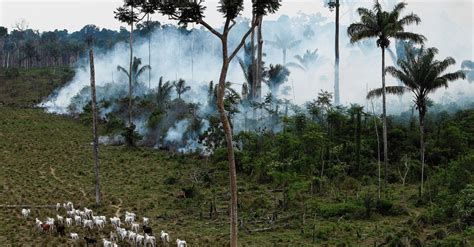 A Better Model To Accurately Calculate The Amount Of Carbon Dioxide A Country Emits