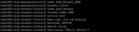 Oracle SBC Admin Task Header Manipulation Rules HMR Where Is My Voice Packet