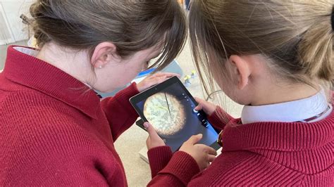 How To Photograph Your Microscope Specimens Live Science