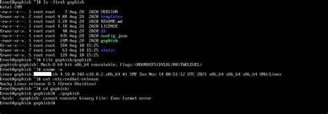 Cannot Execute Binary File Ii · Issue 2550 · Gophish Gophish · Github