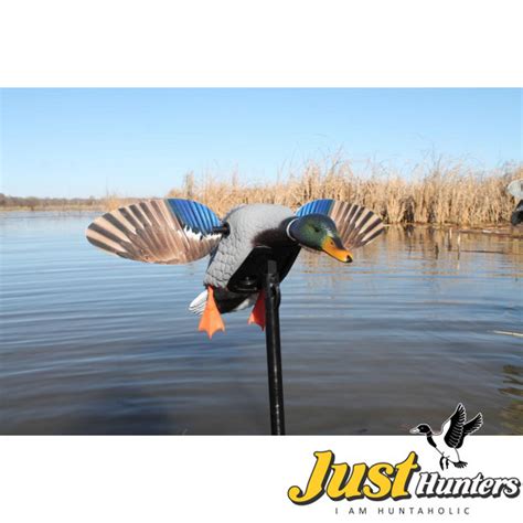 Buy Mojo® Elite Series™ Mini Mallard Drake Online Best Price In Pakistan