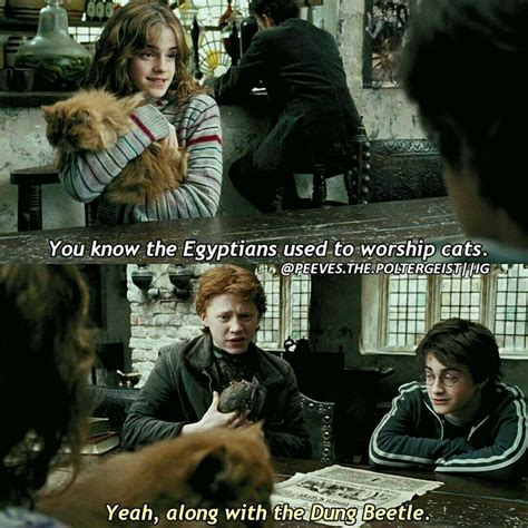 Pin By Ydreamynights On Harry Pottah ️ Harry Potter Harry Potter Jokes Harry Potter Film