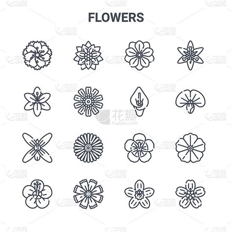 一组16花概念向量线图标。64x64细描图标，如花，花，花，素材 花瓣网