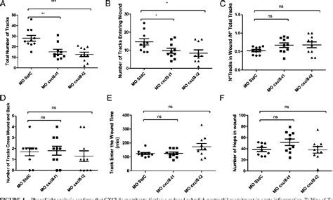 Figure 4 From Cxcl8 Il 8 Mediates Neutrophil Recruitment And Behavior