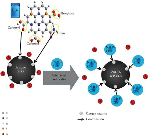 Graphical Illustration For The Proposed Surface Defects Passivation Download Scientific Diagram