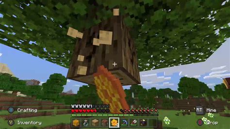 Minecraft Bee Update Youtube