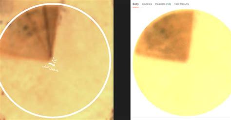 Sentinel 2 Giving Better Resolution Than Planetscope Apps Services
