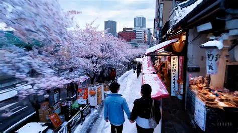 Openai Unveils Its Text To Video Generator Called Sora