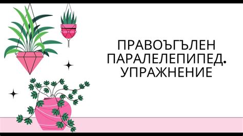 Правоъгълен паралелепипед Упражнение Задачи 5 клас Youtube