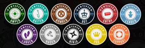 Cs2 Roles Overview Cs2 Eu