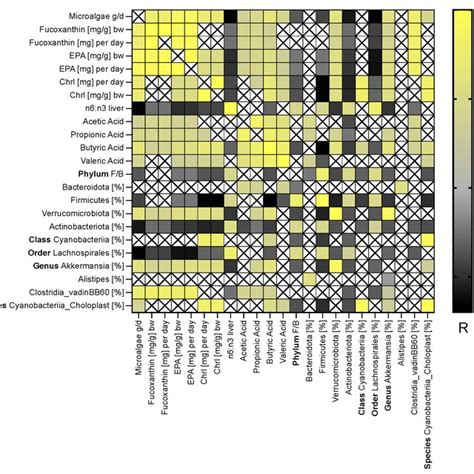Heat Map Of Spearmans Rank Correlation Measured By Spearman Rho R Download Scientific