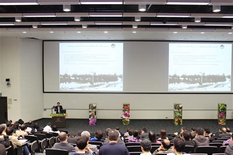5th Best Practices For Urban Tree Management Hkila