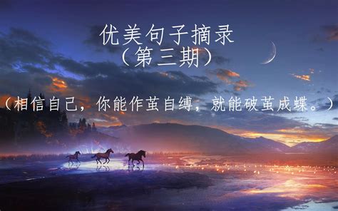 你能作茧自缚就能破茧成蝶 优美句子摘录第三期 哔哩哔哩
