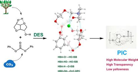High Molecular Weight Biobased Polycarbonate Preparation Using Metal Free Deep Eutectic Solvents