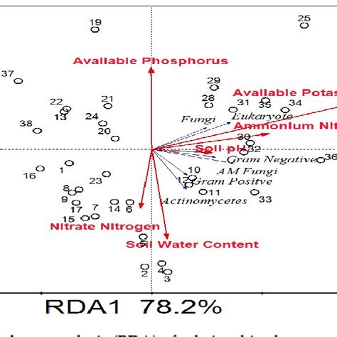 Redundancy Analysis Rda Of Relationships Between Microbial Community Download Scientific