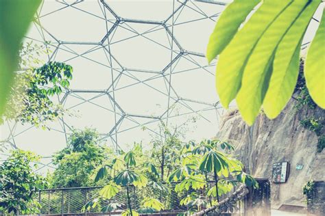 Bio Architecture 5 Stunning Buildings Mimicking Nature