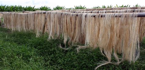 Partner Show ‘em What Weave Got — Positively Filipino Online