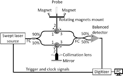 Schematic Of Our Swept Source Oct System Fc Fiber Coupler C Fiber Download Scientific