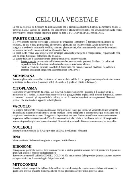 Schema Della Cellula Vegetale Del Reticolo Endoplasmatico Le Schema Della Cellula Vegetale Del Reticolo Endoplasmatico Le