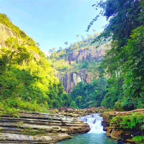 Mohammad Jahed Hasan On Linkedin আমিয়াখুম