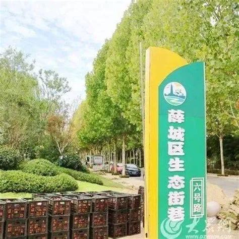 枣庄市民游玩又添新去处，先睹为快在线广播步道