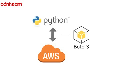 Python Là Gì Tổng Quan Về Ngôn Ngữ Lập Trình Python