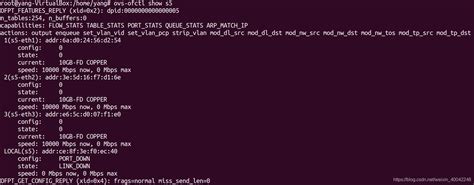 Open Vswitch 流表控制主机数据转发实验（五） Group表实践openflow组表使用的场景 Csdn博客