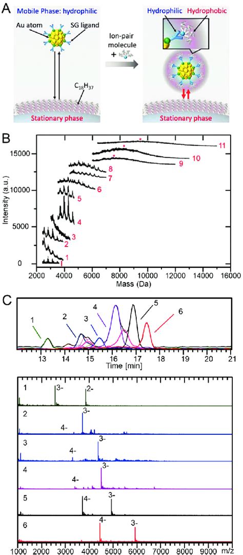 Reverse Phase Chromatography How It Works At Cody Wray Blog