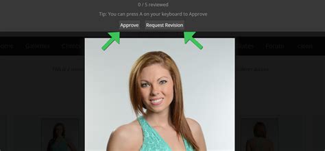 Project Proofing Sytist Manual Articles Picturespro