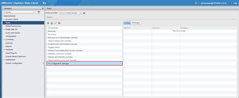 How To Add A New User To A Customized VCenter Role