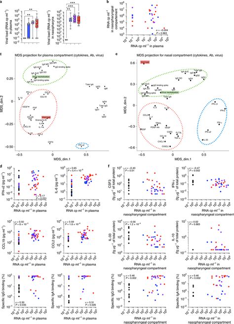 Sars Cov 2 Antiviral Immune Responses Are Distinct Locally And Download Scientific Diagram