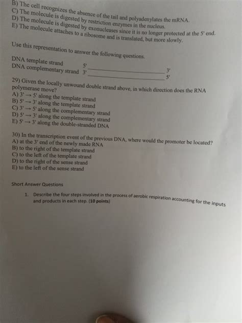 Solved 2 What Is The Difference Between Action Spectrum And