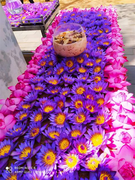 නොපෙනෙන ලෝකය සුපතිට්ඨිත රට්ඨානුරාධපුරේ සම දිට්ඨිත Facebook