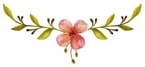 手绘水彩花卉花环素材 包站长