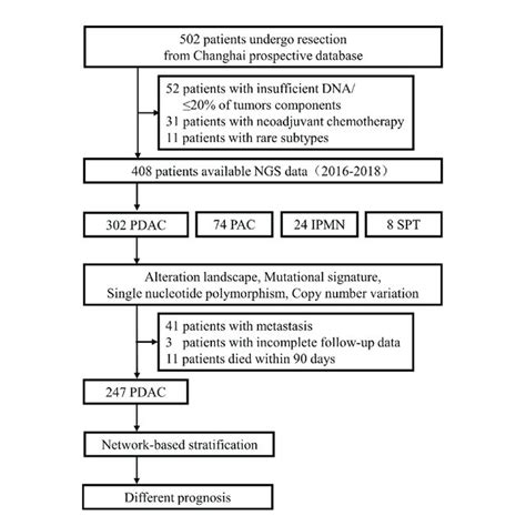 Network Based Stratification Of Pdac With Genetic Mutation A Download Scientific Diagram